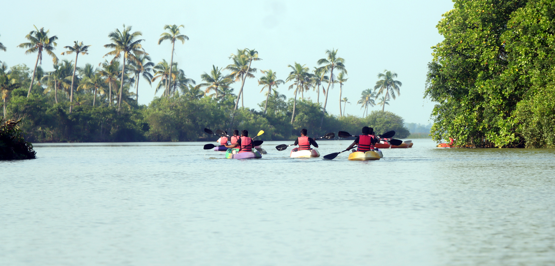 The Best Kayaking Spot in Varkala with Mangrove Wonders
