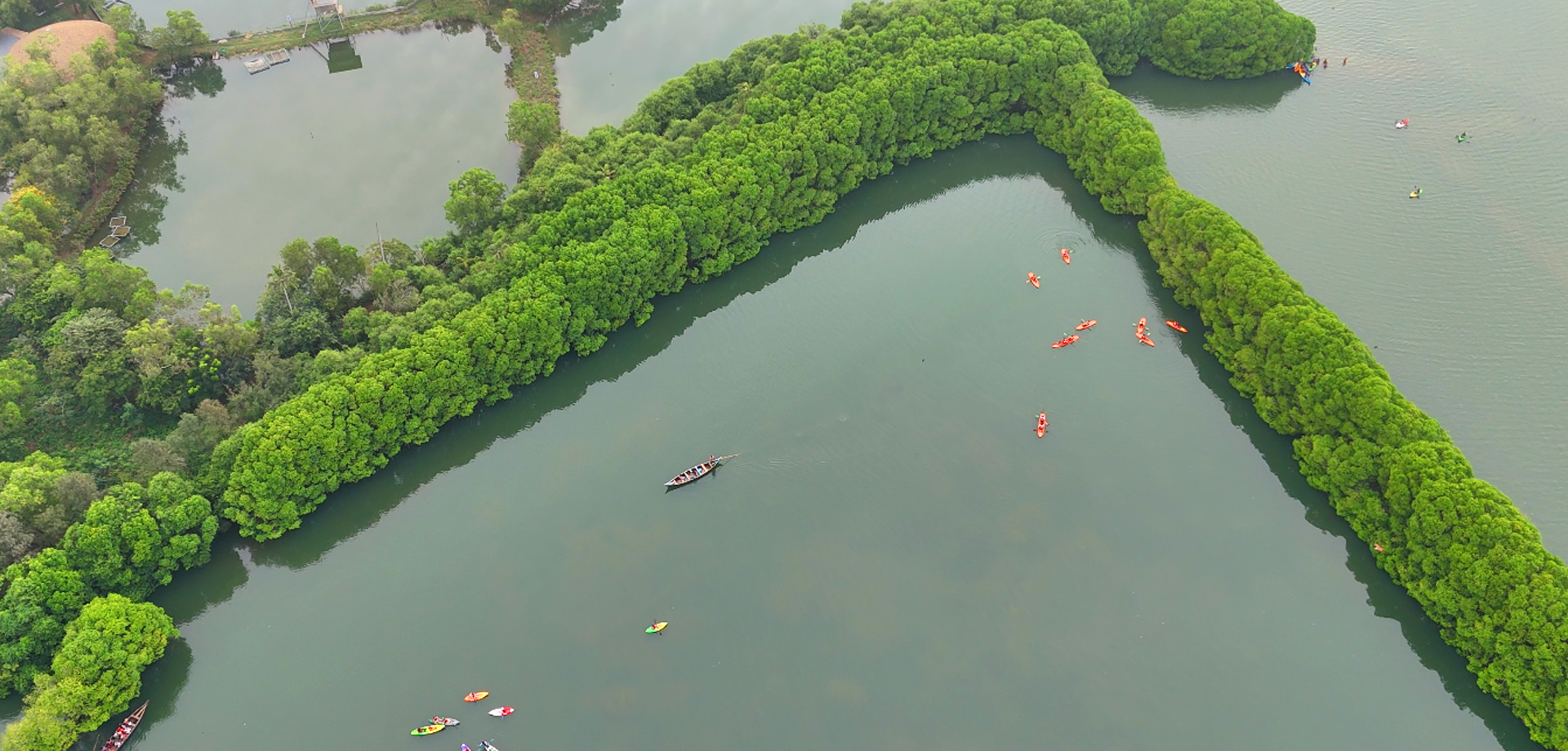 The Best Kayaking Spot in Varkala with Mangrove Wonders